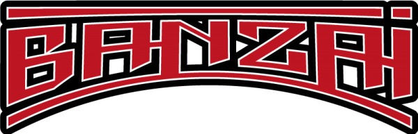 Carhifi, Alarmanlagen & GPS | Profi-Einbau in Rheinhessen